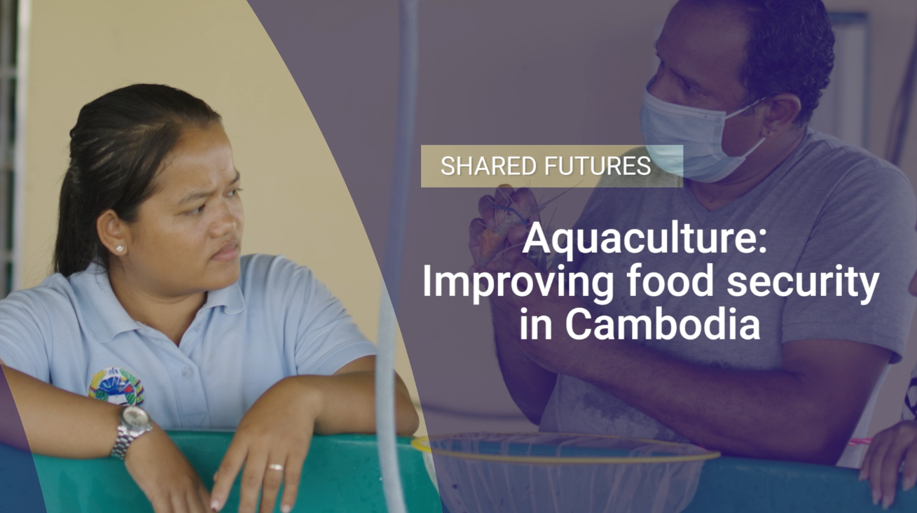 Aquaculture : improving food security in Cambodia | AFD - Agence ...