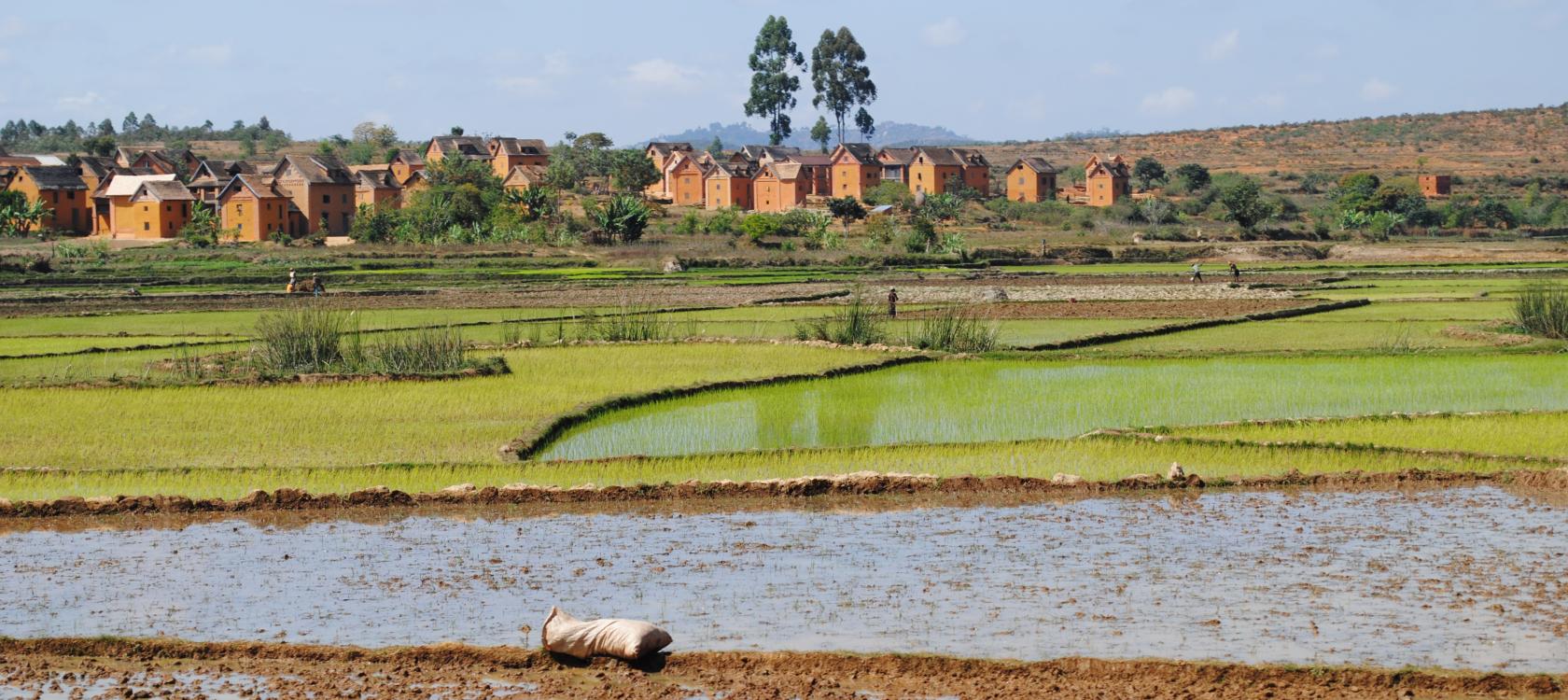 les paysages ruraux cenicienta