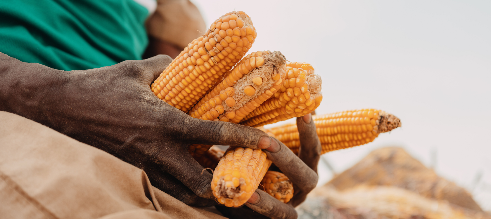 UN Food Summit: “We Need to Recognize the Links between Climate Change ...